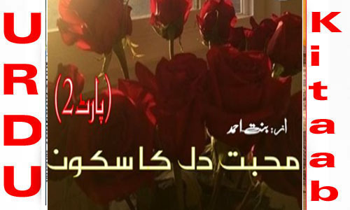 Mohabbat Dil Ka Sakoon By Bint E Ahmed Part 2 Complete Novel